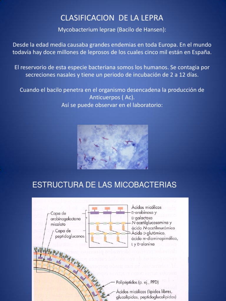Clasificación de la Lepra y Sus Tipos | PDF | Lepra | Mycobacterium