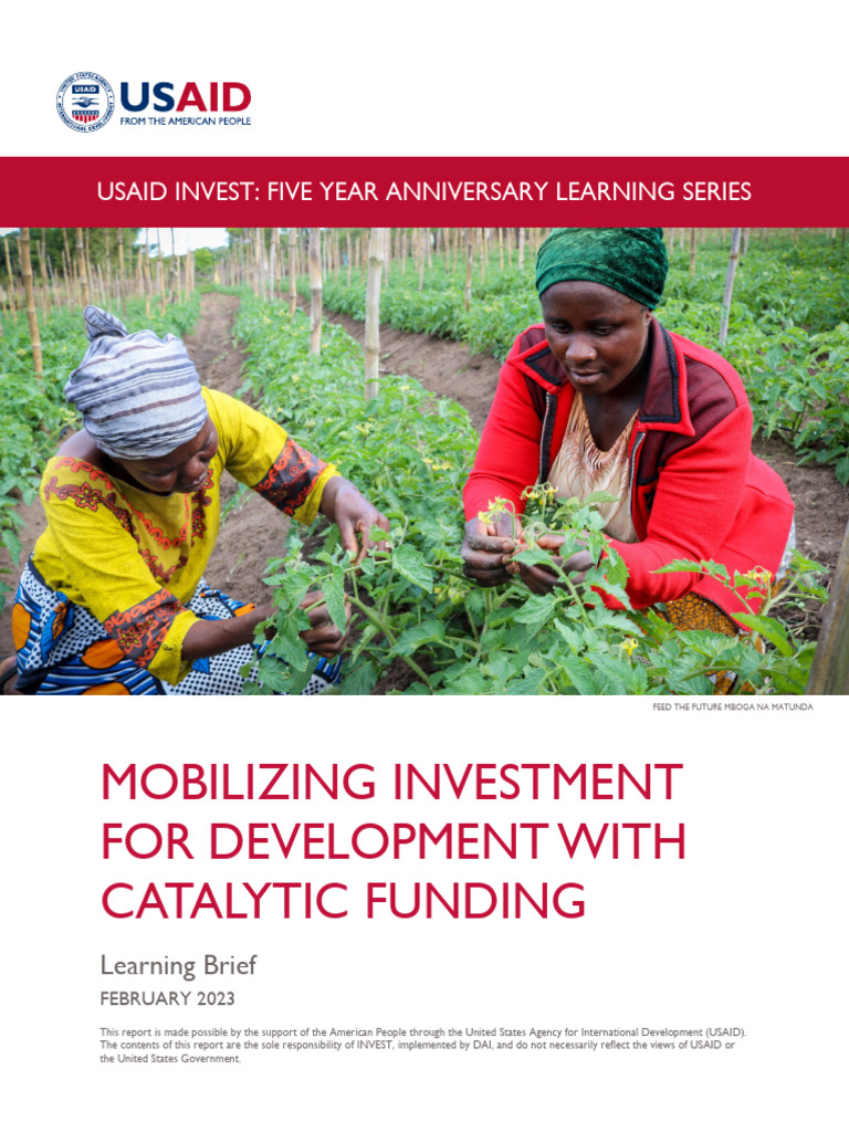 Catalytic Funding Learning Brief - Final.6 | PDF