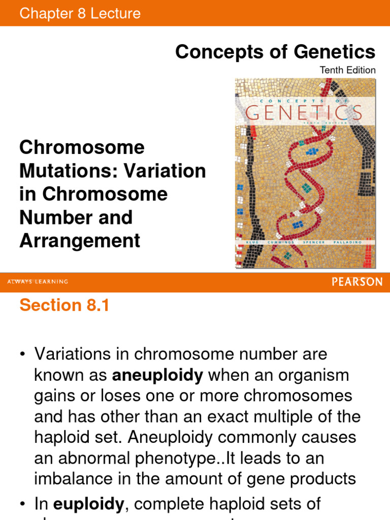 CH 08 Lecture | PDF | Ploidy | Gene