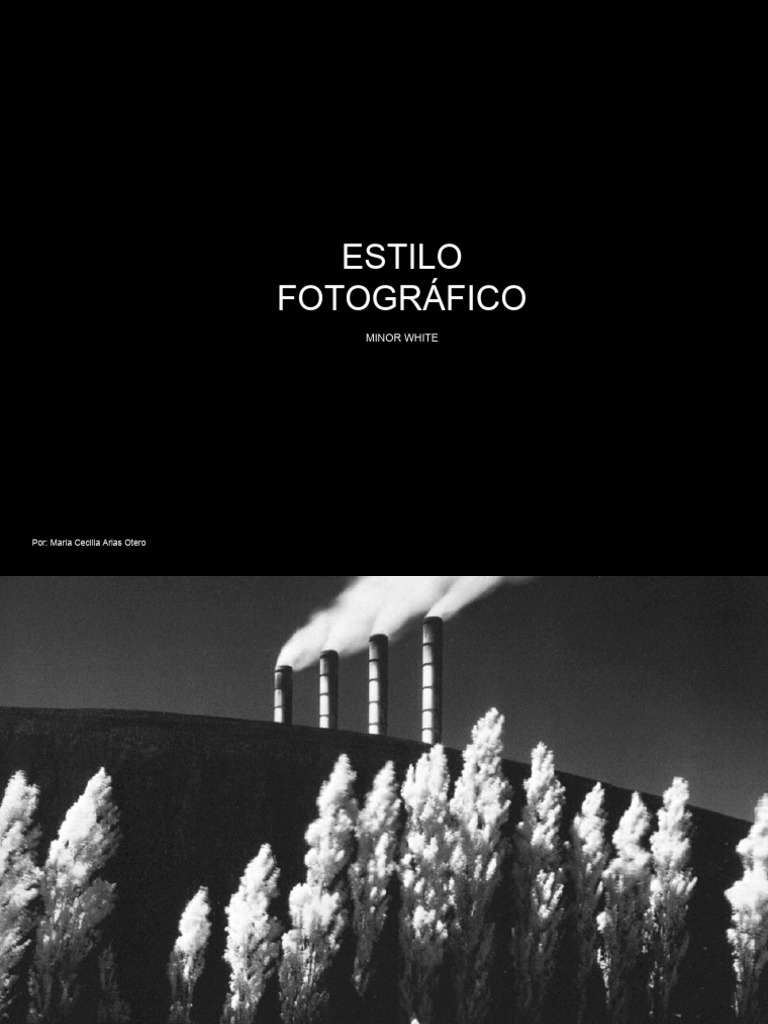 ESTILO - MINOR WHITE - Maria Cecilia Arias Otero | PDF