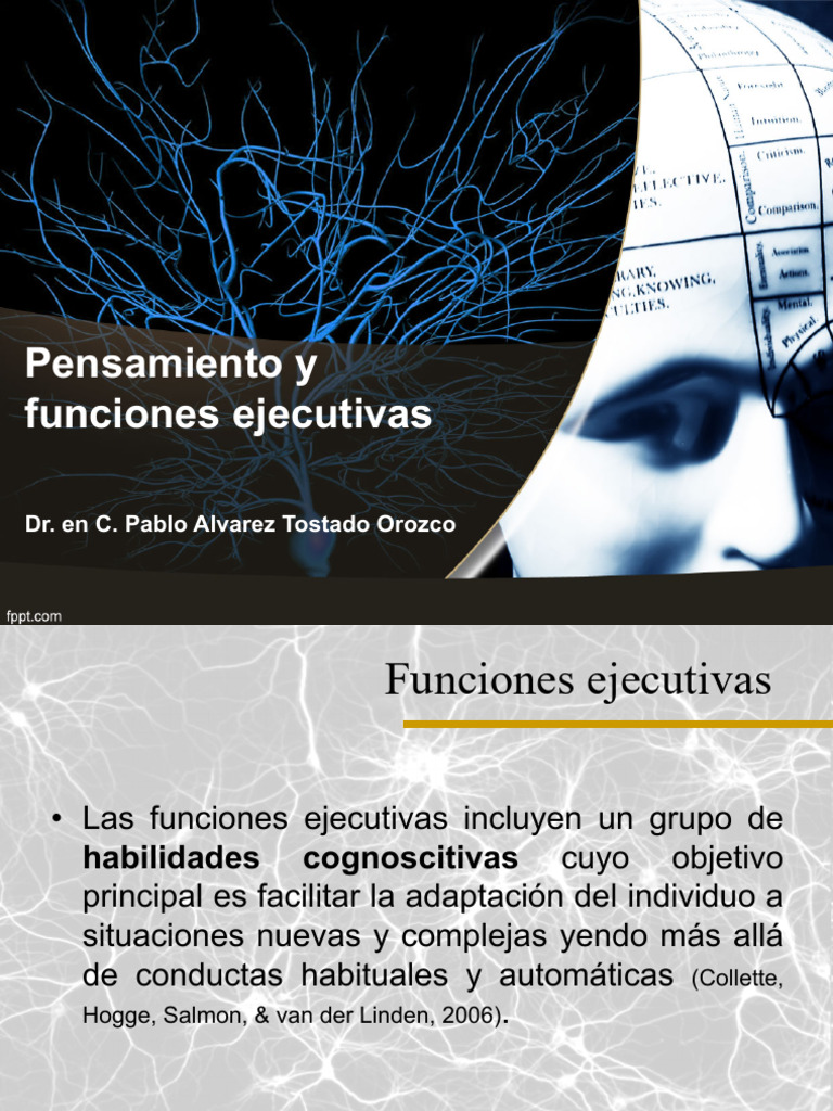 Funciones Ejecutivas | PDF | Funciones ejecutivas | Teorías psicologicas