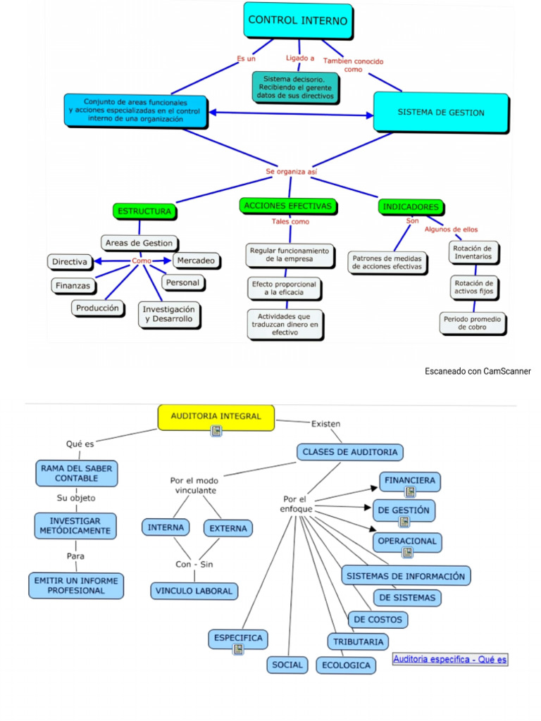 Actividad 1 - Mapas Conceptuales - Calderon Vargas Vania Diana | PDF