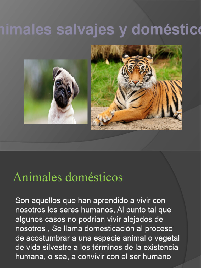 Animales Salvajes y Domésticos: Comparativa | PDF | Hogar, jardinería y ...
