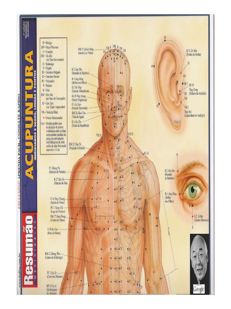 Atlas-Acupuntura PDF | PDF
