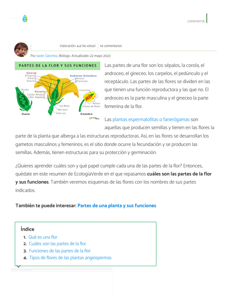 Partes y Funciones de la Flor | PDF | Flores | Técnicas hortícolas