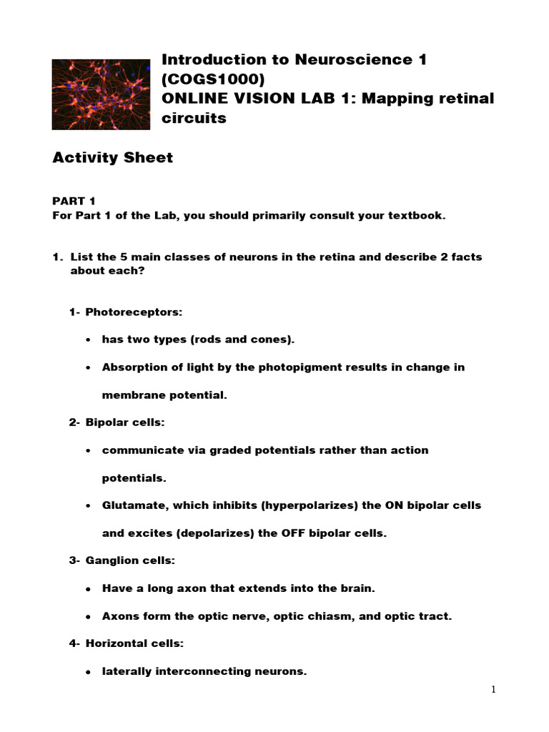 Retinal Circuits Lab Pdf Retina Vision