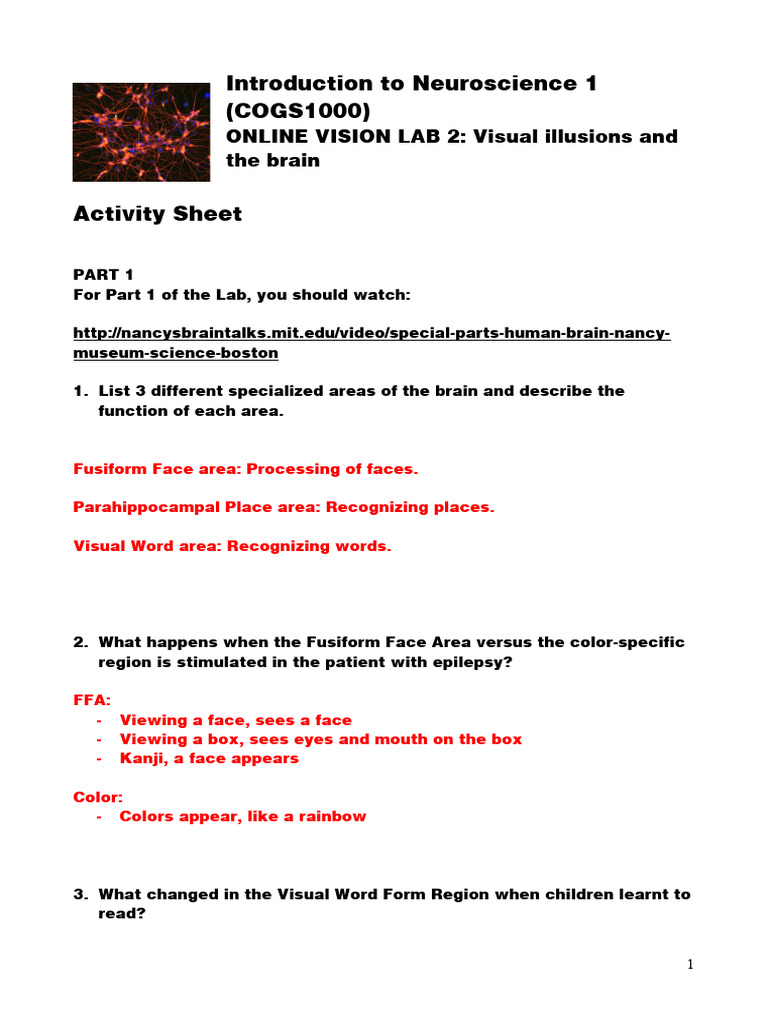 Week 7 Vision Lab | PDF | Visual Perception | Color