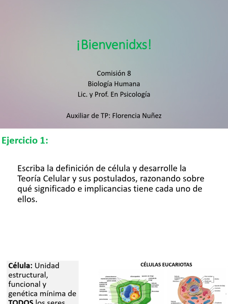 Teoría Celular y Tipos de Células | PDF | Biología Celular) | Citoplasma