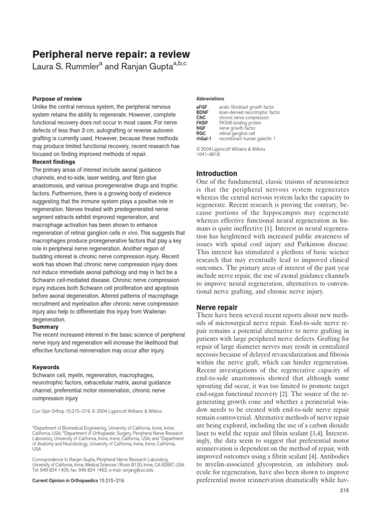 Peripheral Nerve Repair Pdf Nerve Axon