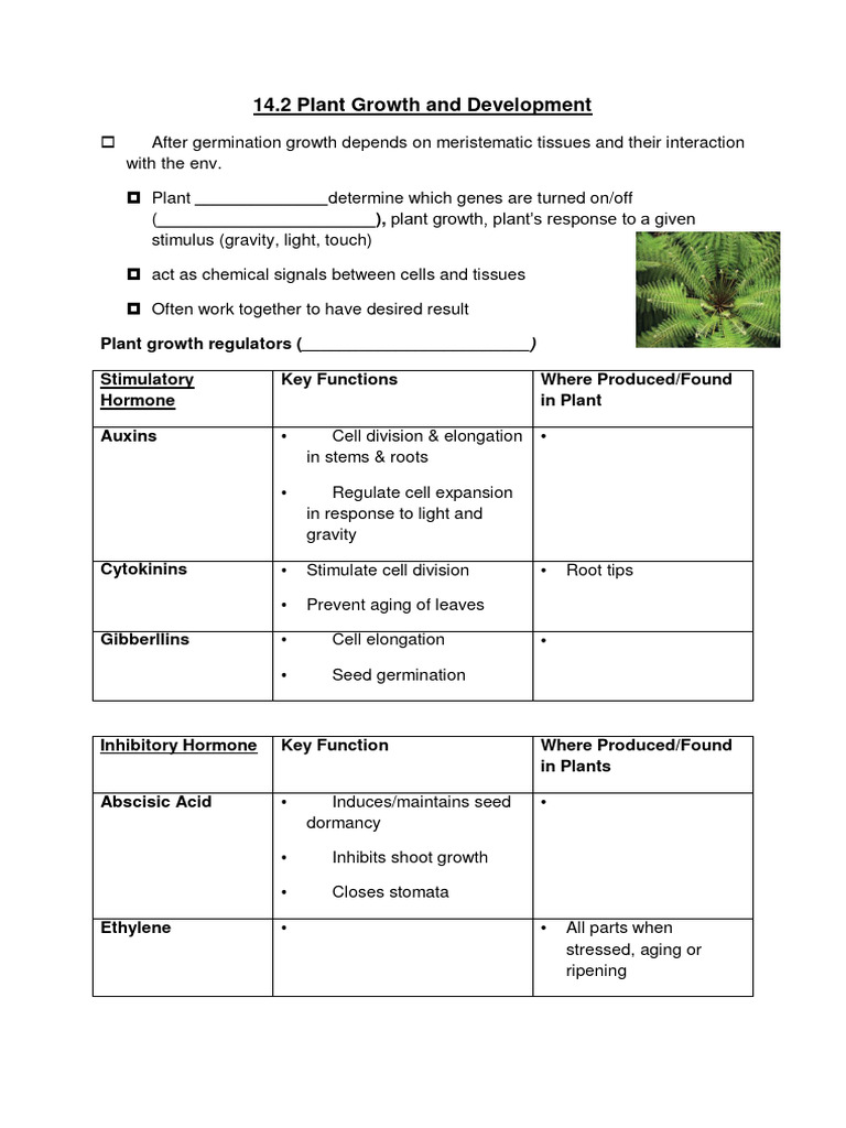 14.2 Plant Growth and Development-Student Sheet | PDF | Plant Hormone ...