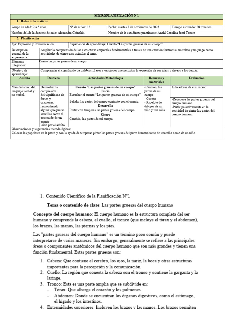 Planificacion Partes Gruesas Del Cuerpo Pdf Humano Aprendizaje
