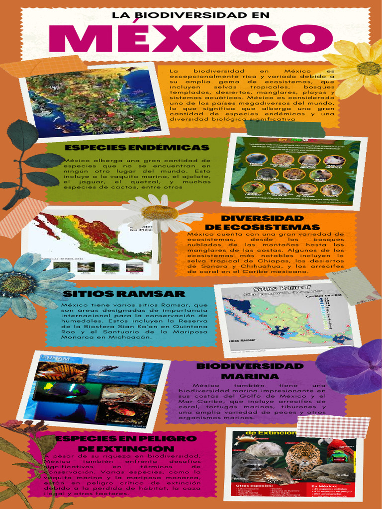 Infografía BIODIVERSIDAD EN MEXICO | PDF | México | Biodiversidad