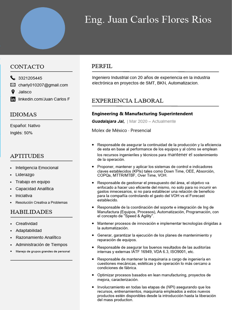 233 Curriculum Vitae Profesional para Trabajo | PDF | Ingeniería | Business