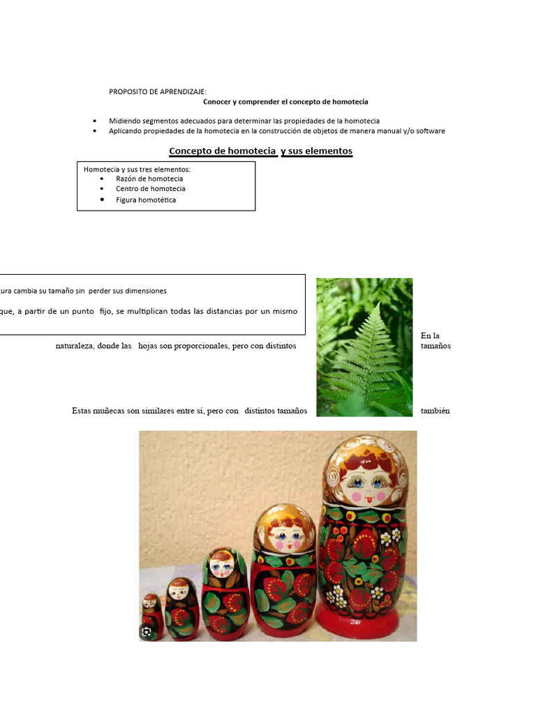 Hoja De Trabajo De Figuras Y Proporciones Similares Con Respuestas