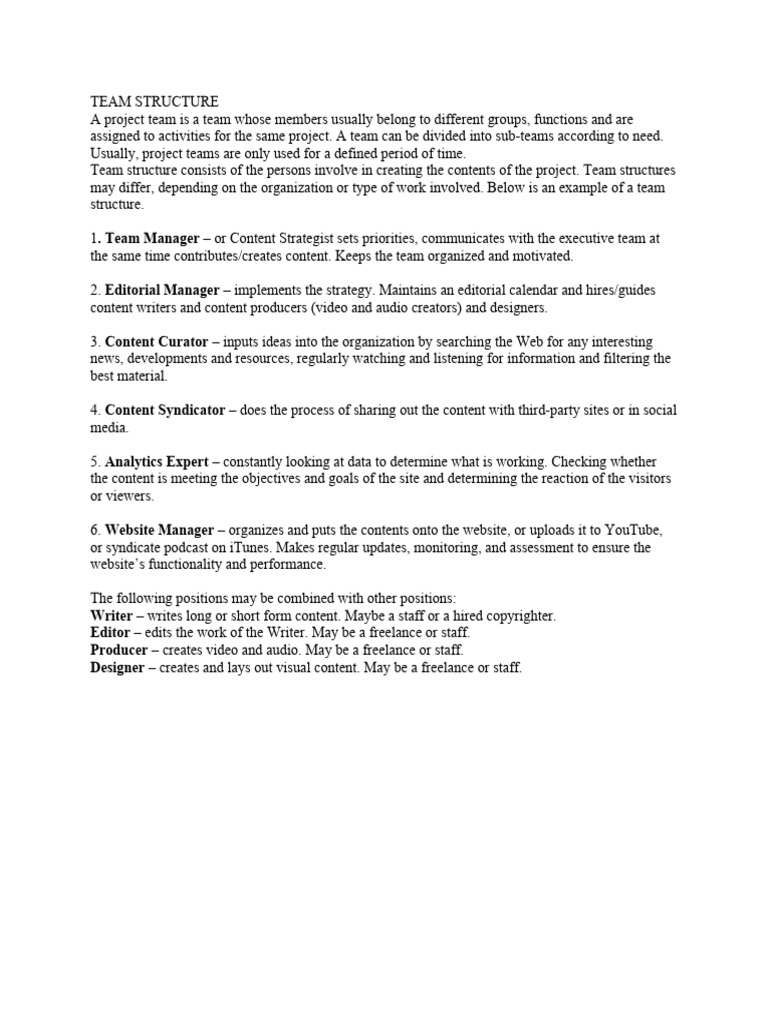 Team Structure | PDF