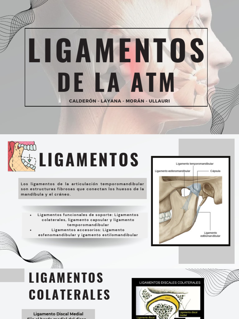 Ligamentos de La Atm | PDF | Articulación | Cabeza y cuello humanos