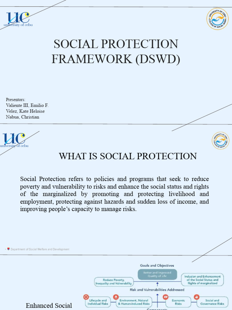 SW213-B Social Protection Framework DSWD-1 | PDF