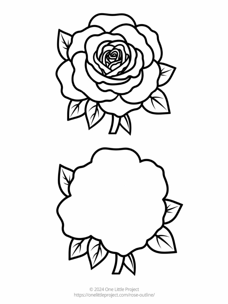 Rose Drawing Outline | PDF