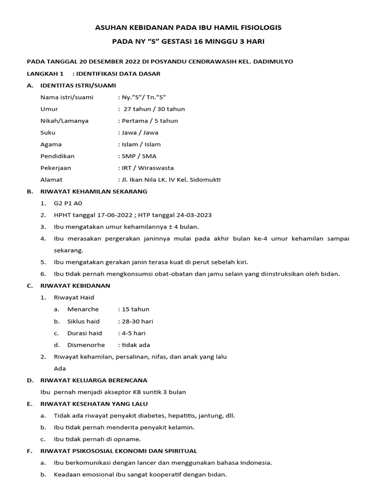 Asuhan Kebidanan Ibu Hamil 16 Minggu | PDF | Kesehatan Holistik