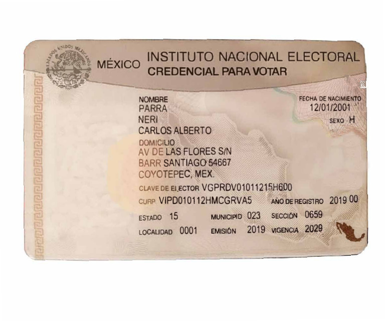 Nueva Plantilla Ine | PDF | Politica de mexico | Elecciones