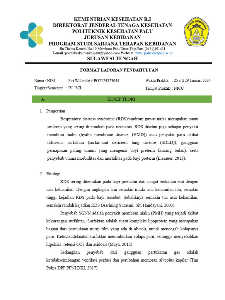 Laporan Pendahuluan RDS | PDF