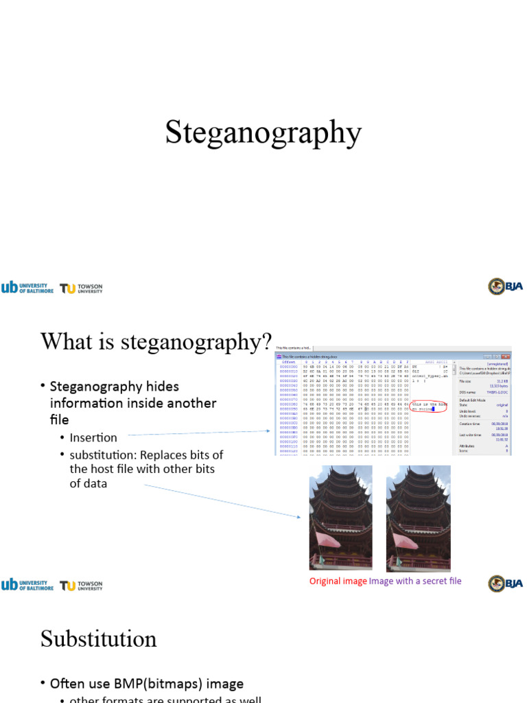 Intro to Steganography Basics | PDF | Computers