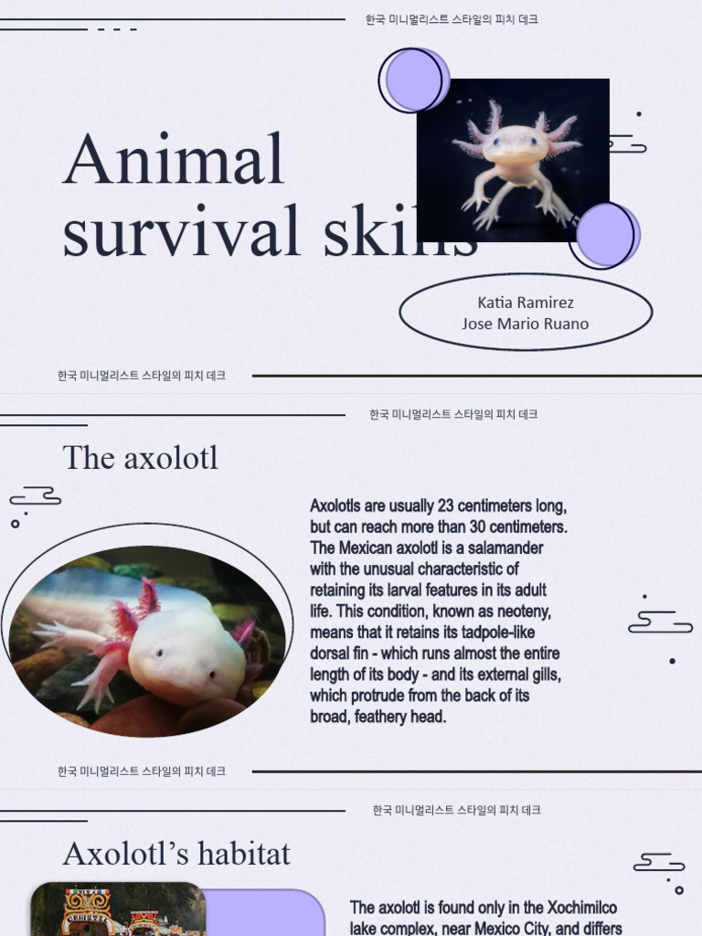 Axolotl | PDF