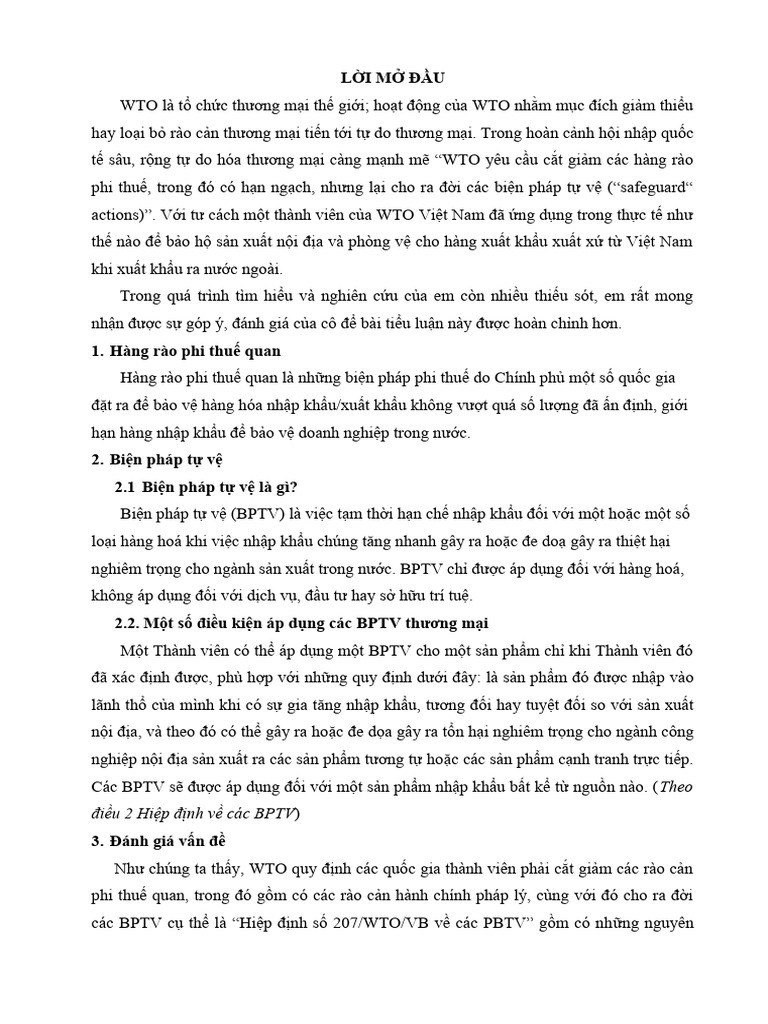 Hàng rào phi thuế quan | PDF