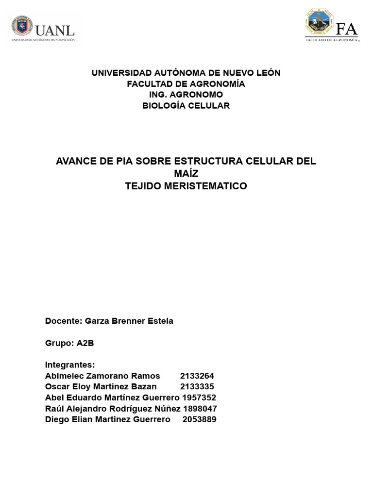 Avance PIA BIO | PDF