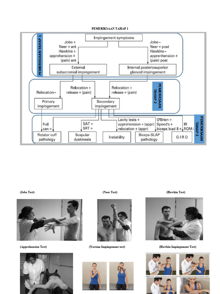 Pemeriksaan Shoulder | PDF