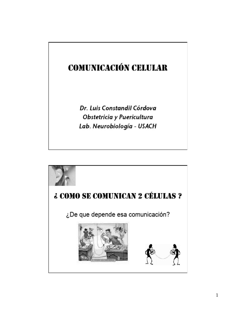 Comunicacion Celular | PDF