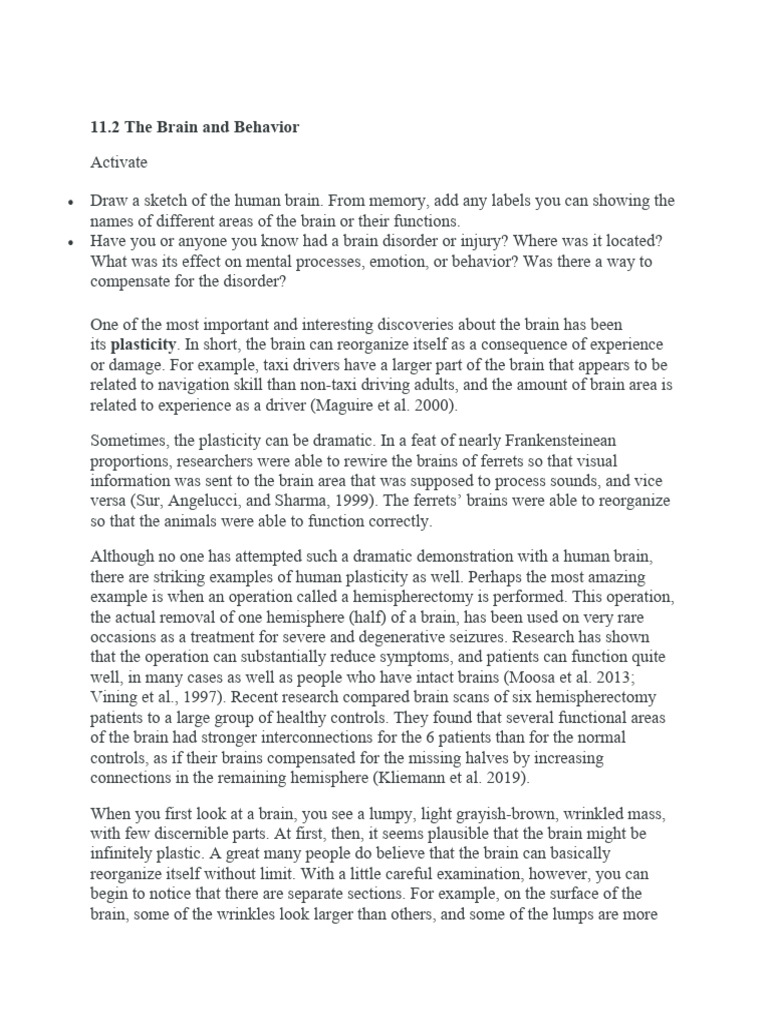 Brain Behaviour Pdf Temporal Lobe Limbic System