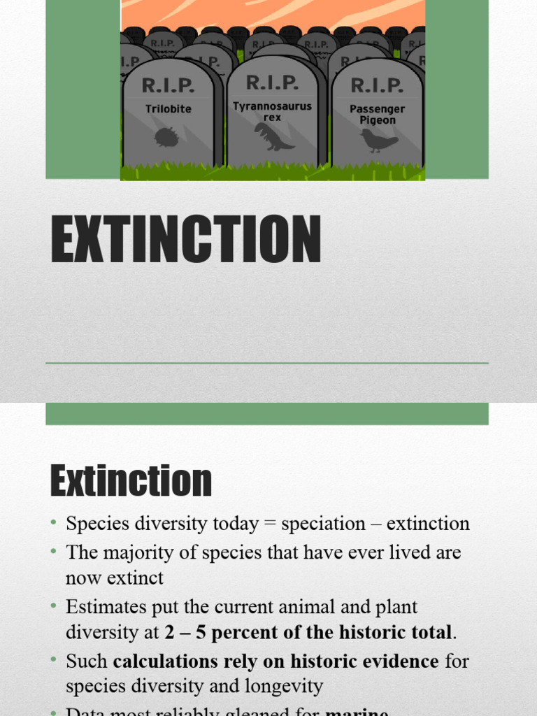Extinction | PDF | Extinction | Oceans