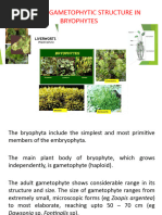 Key Structures in Bryophytes Explained | PDF | Moss | Plants