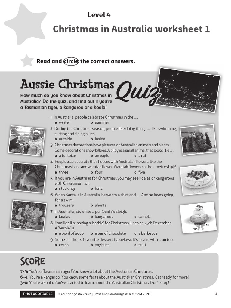 Be Curious 4 Christmas in Australia Worksheet | PDF | Language Arts ...