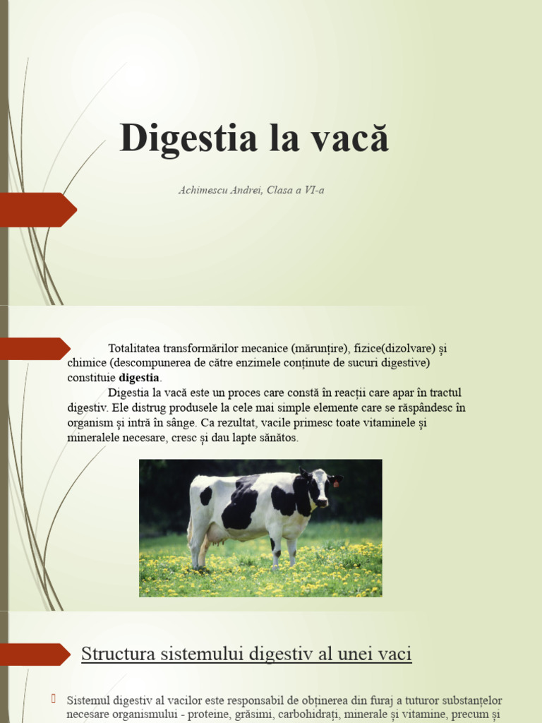 Digestia La Vacă | PDF