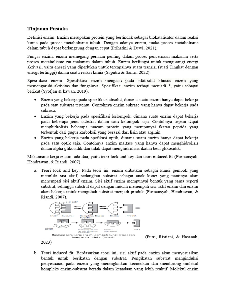 Laporan Biokimia Enzim | PDF