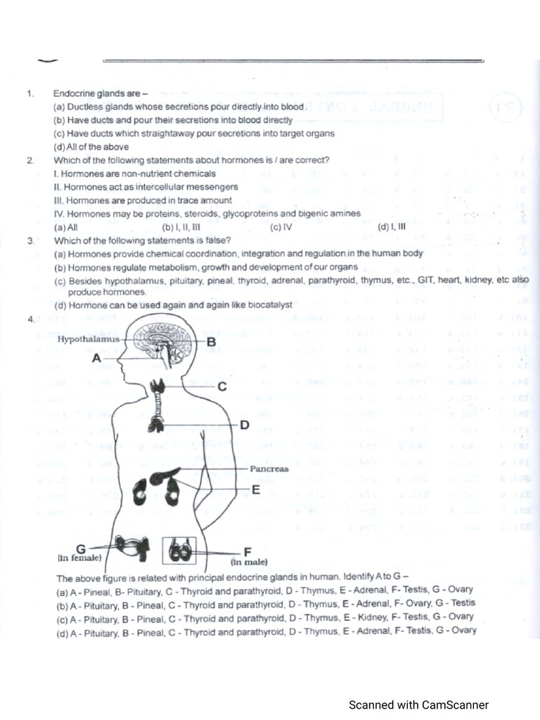 Chemical Control and Coordination | PDF