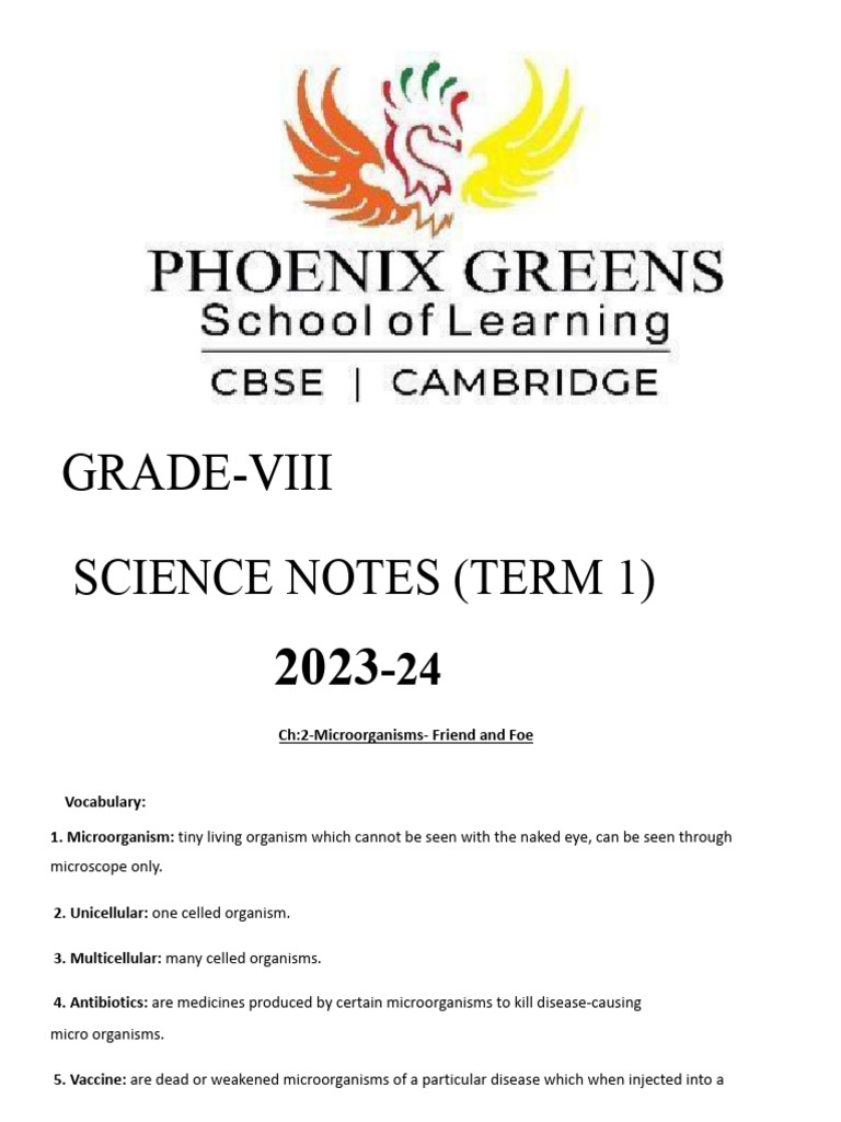 Grade 8 2024 Notes | PDF