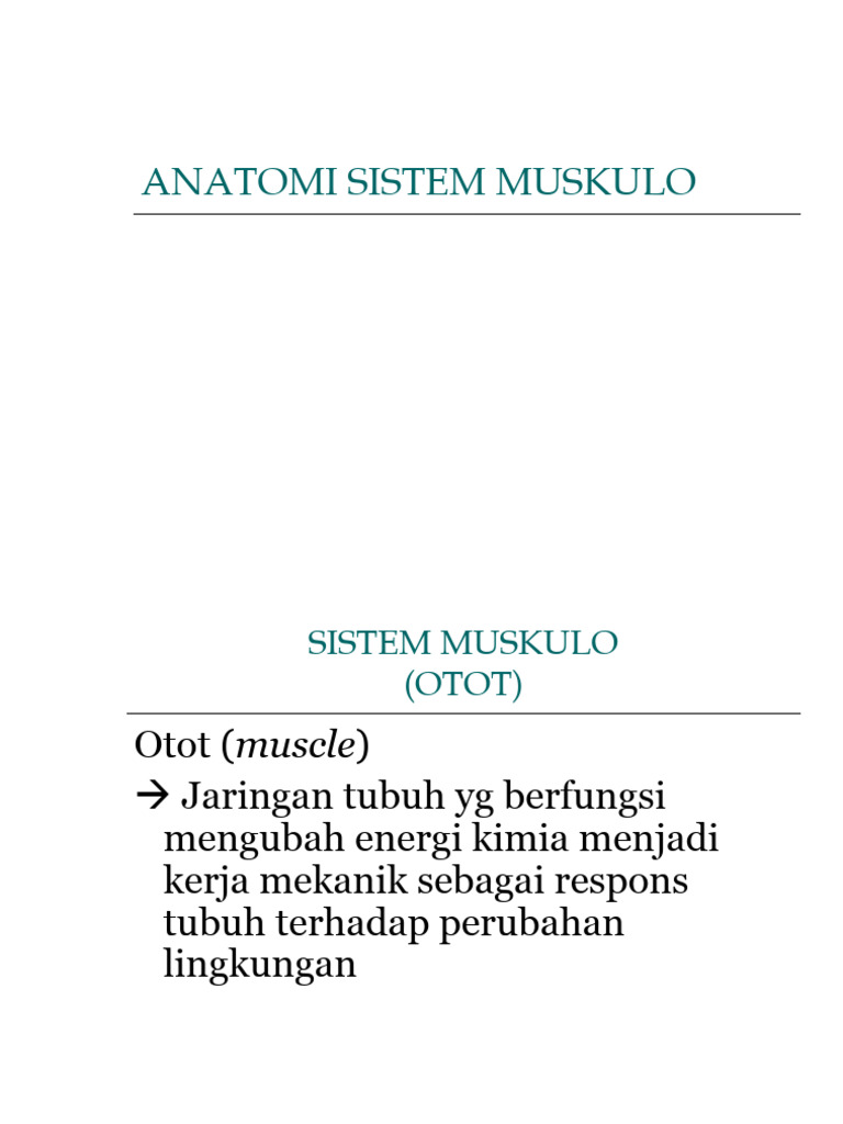 Anatomi Muskulo | PDF
