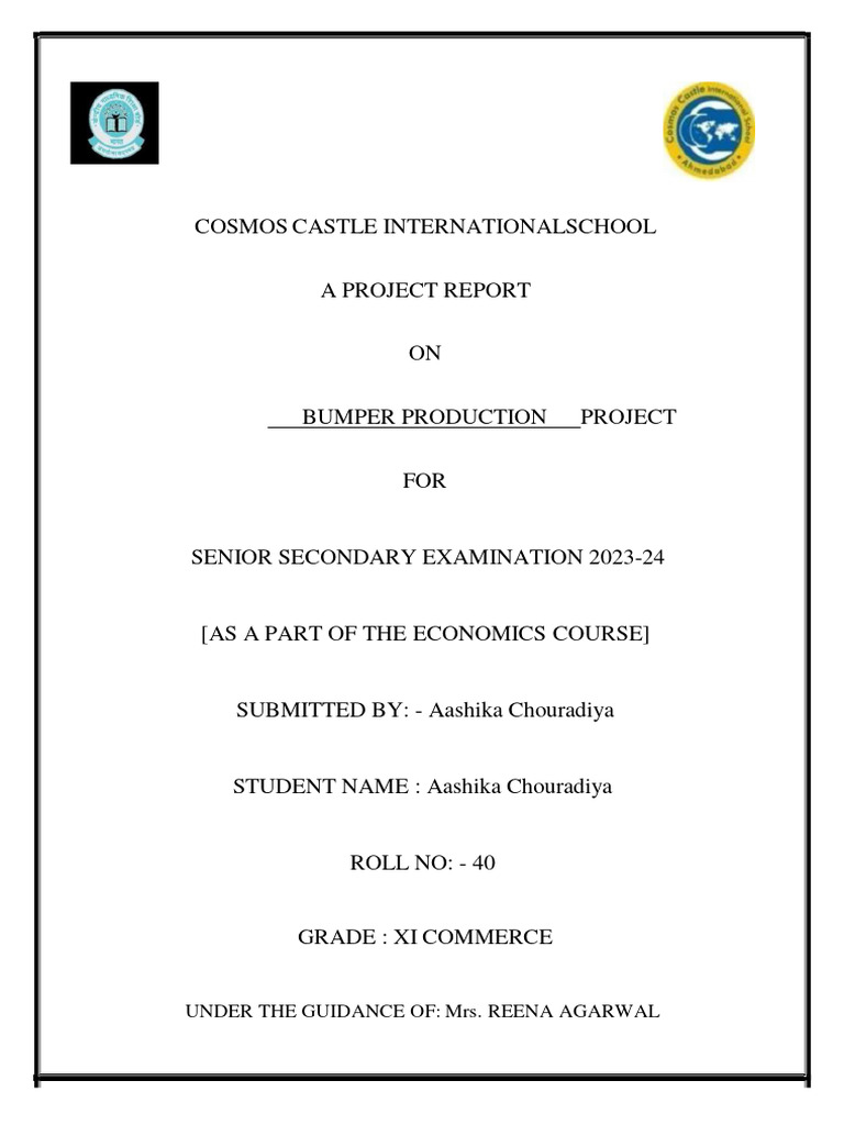 Bumper Production Project Report 2023 | PDF