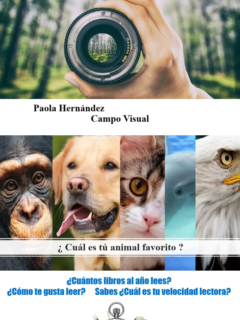 Campo Visual | PDF
