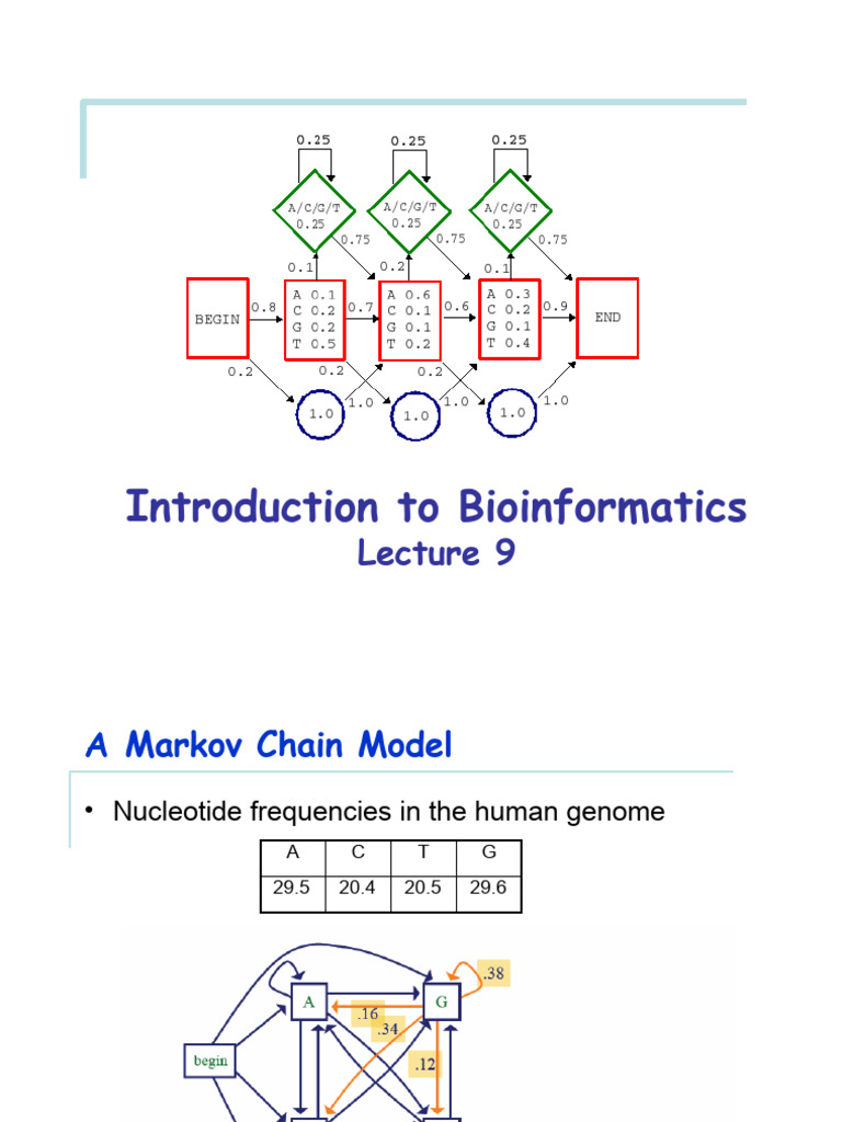 Bioinformatics-Lesson 07 - Hidden Markov Model | PDF | Markov Chain | Applied Mathematics