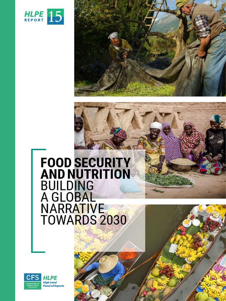 HLPE 2020 Report | PDF | Food Security | Sustainability