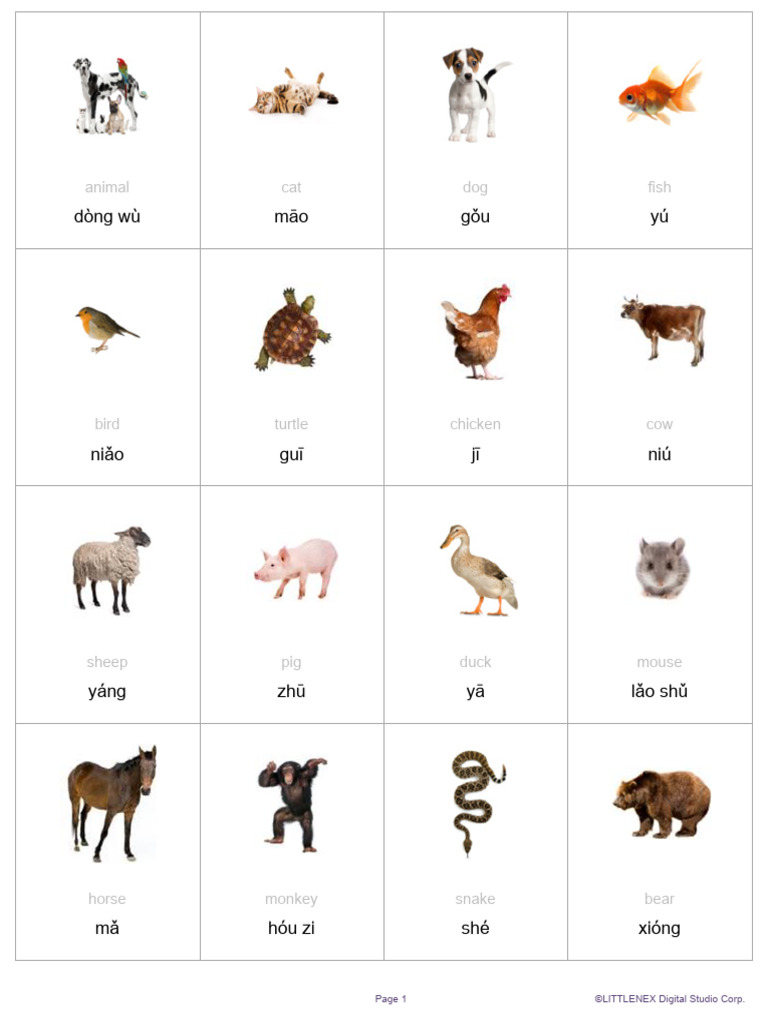 Flashcards Animals | PDF | Hippopotamus | Domesticated Animals