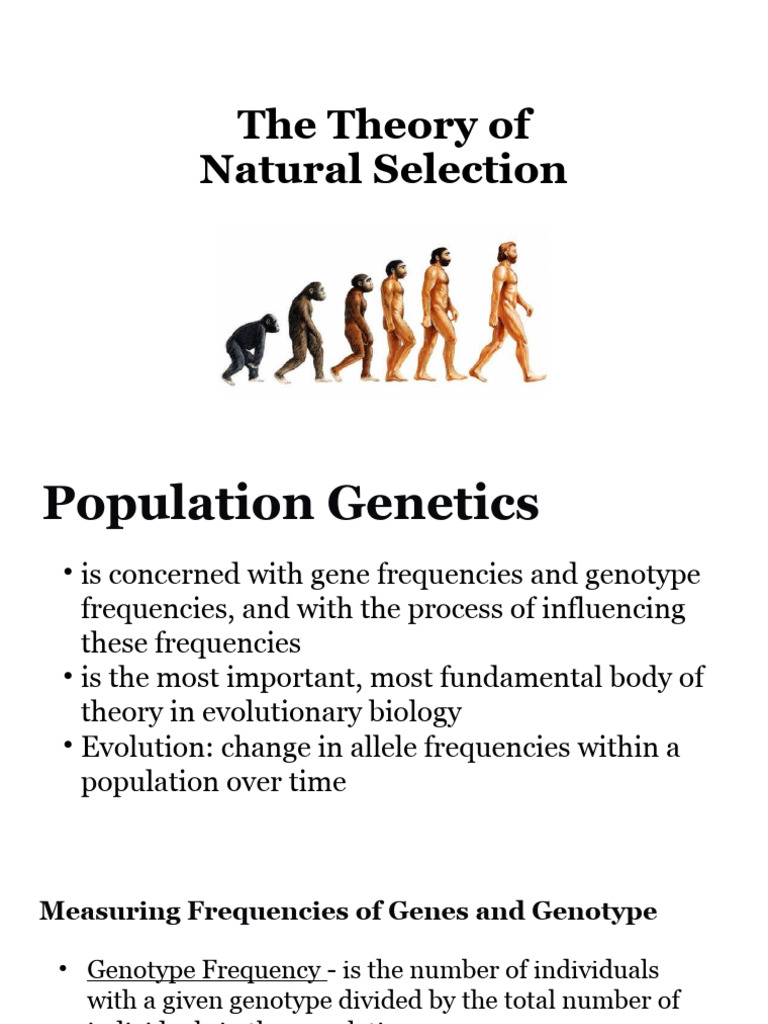 The Theory of | PDF | Population Genetics | Fitness (Biology)
