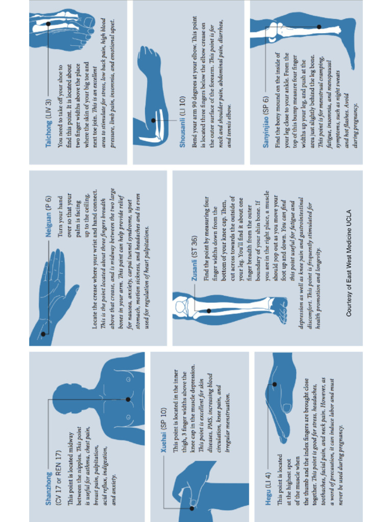 Acupressure Chart | PDF