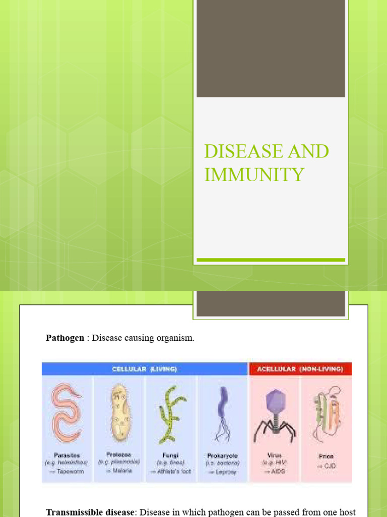 Disease and Immunity | PDF | Immune System | Immunity (Medical)