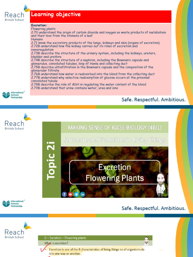 2- Structure and Function in Living Organisms - i) Excretion | PDF