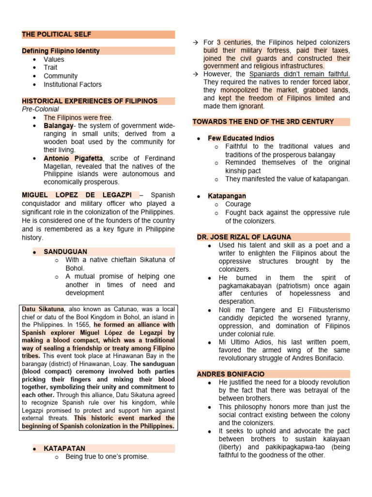 The Political Self | PDF | Philippines | Social Media